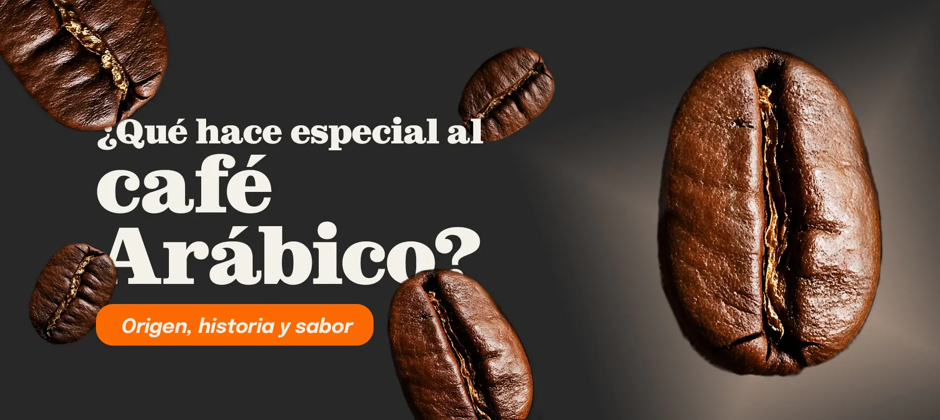 ¿Qué hace especial al café Arábico? Origen, historia y sabor | Café Sierra Negra